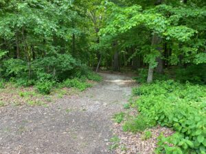 Main Park – Mokena Community Park District